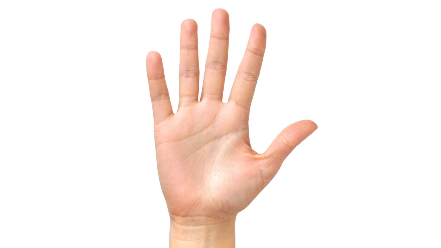 5 sentences with “avoir des nouvelles de” – French4me.news